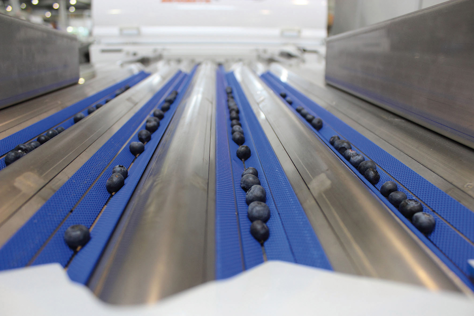 Optical Sorting Technology - USHBC Optical Sorting Technology - USHBC