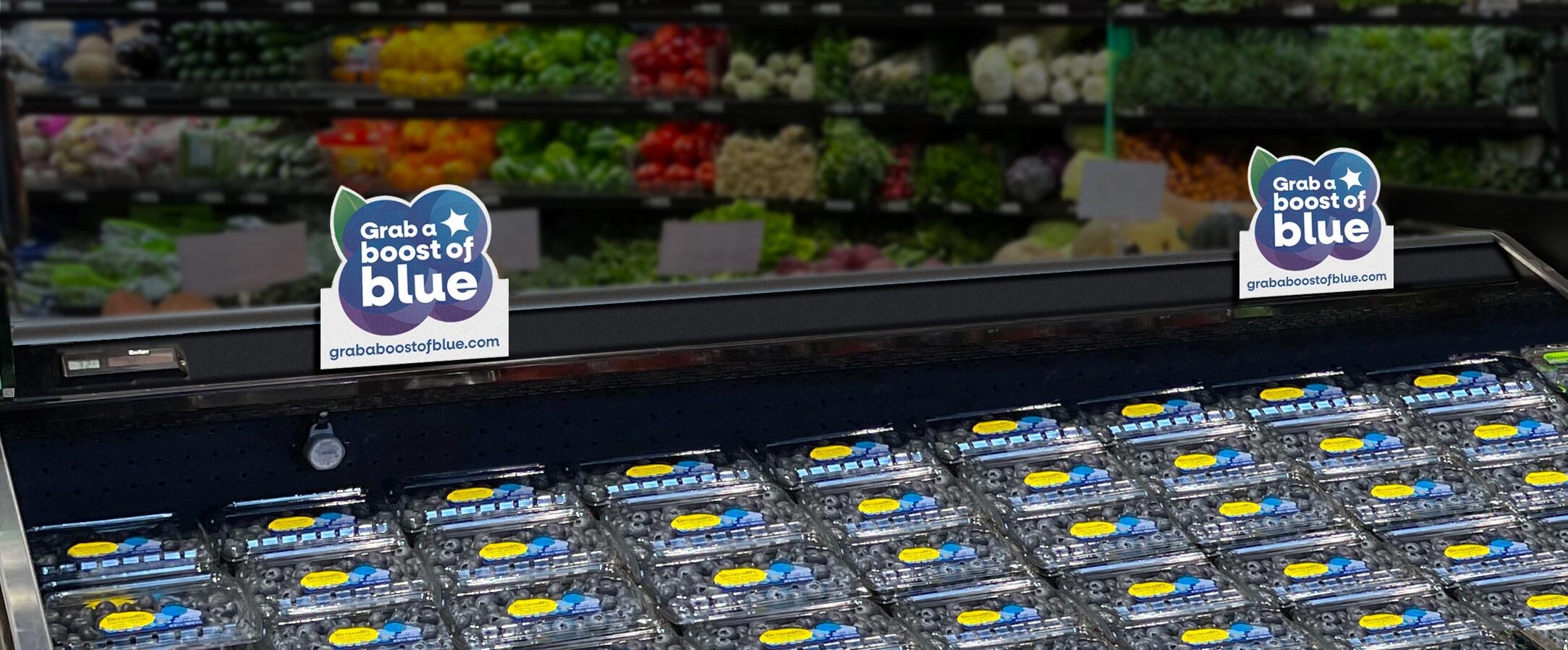 Retail Perspectives on the Future of Blueberries - USHBC