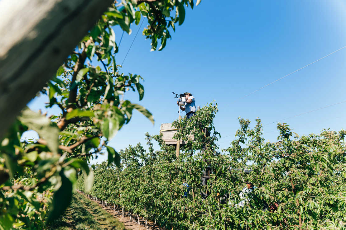 The Smart Orchard - Potential for Blueberries? - USHBC