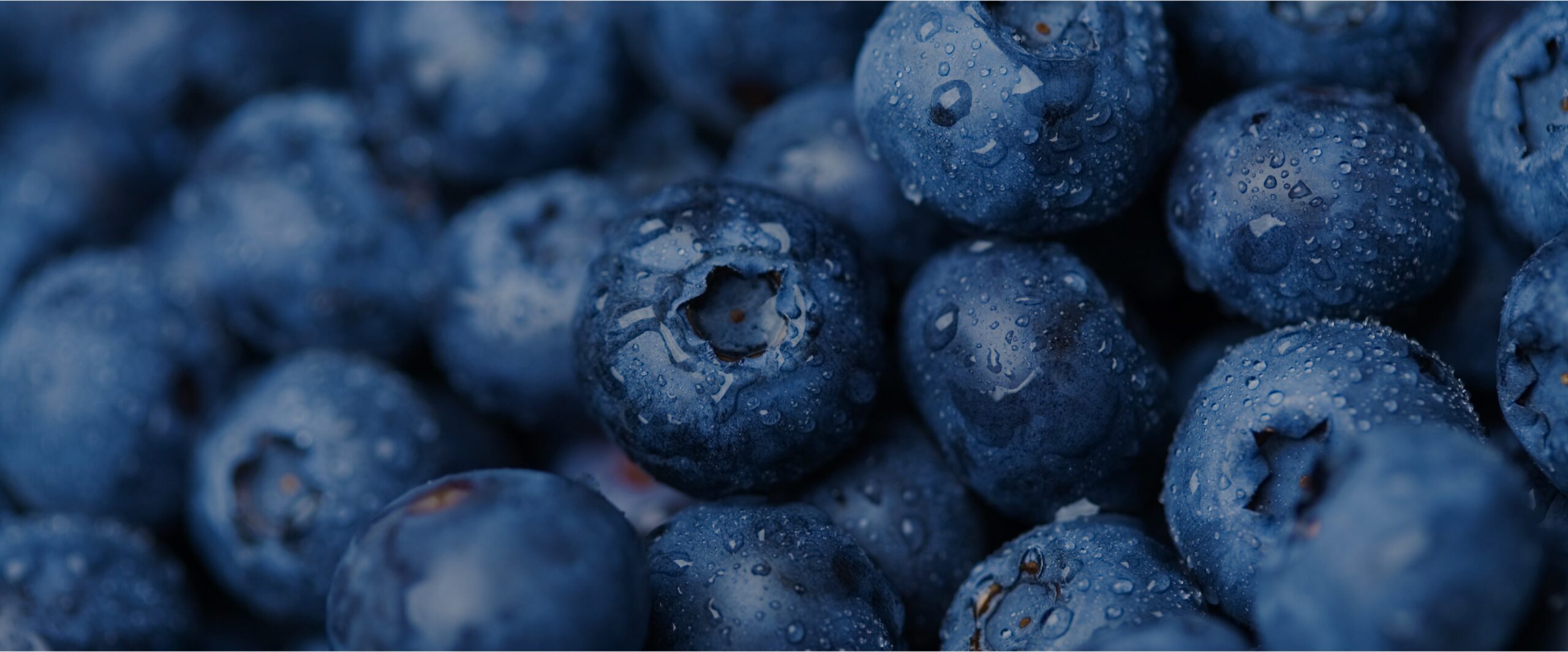 Spring Forward 2022 Registration Now Open, National Nutrition Month ...