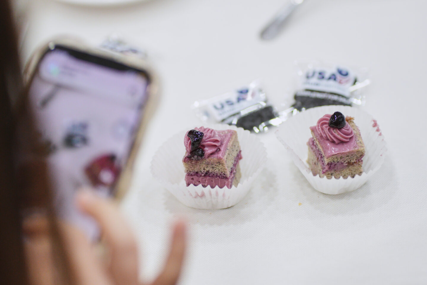 Students Make Blueberries Mississippi’s State Fruit, Inspirations With USA Blueberries in ...