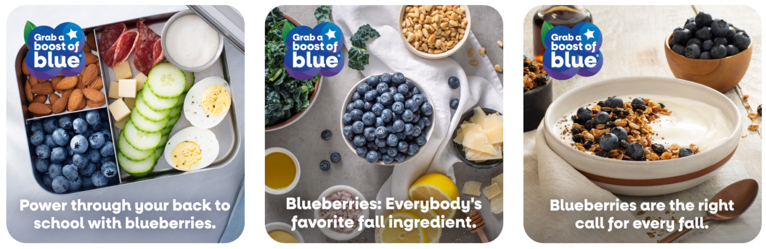 National Blueberry Month, New Power Period, American Society for ...