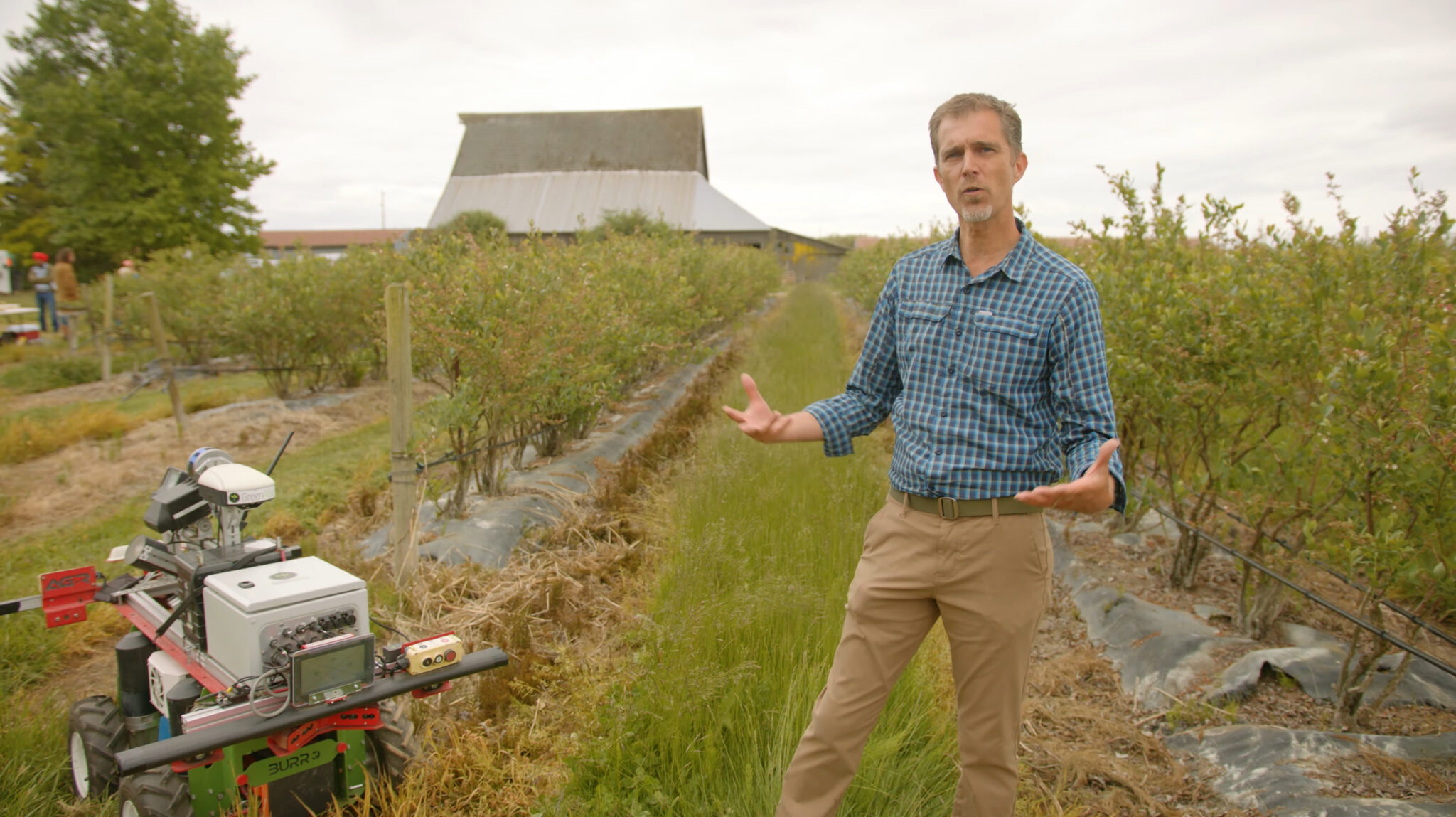 A BerrySmart Update With Steve Mantle - USHBC