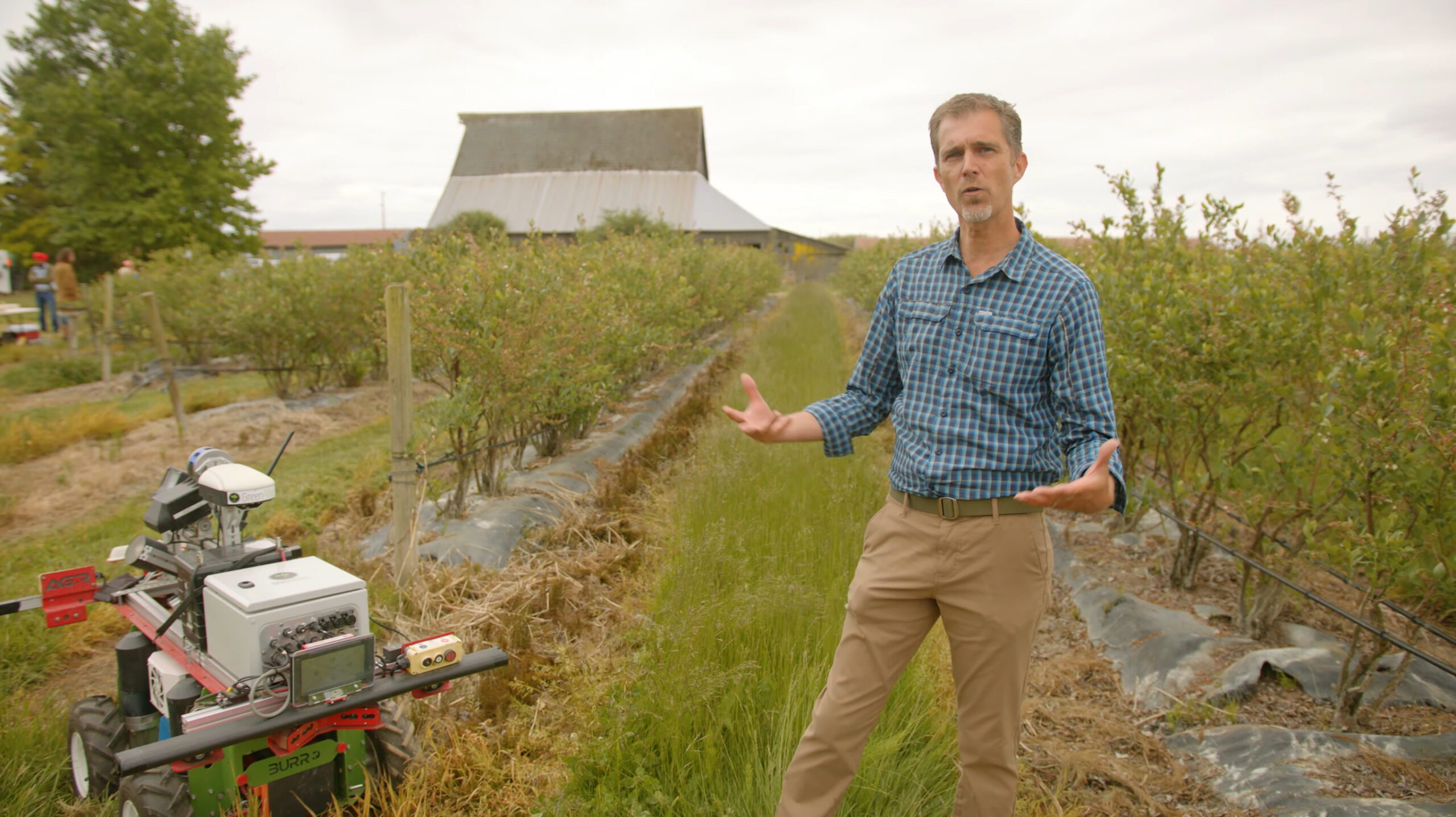 A BerrySmart Update With Steve Mantle - USHBC