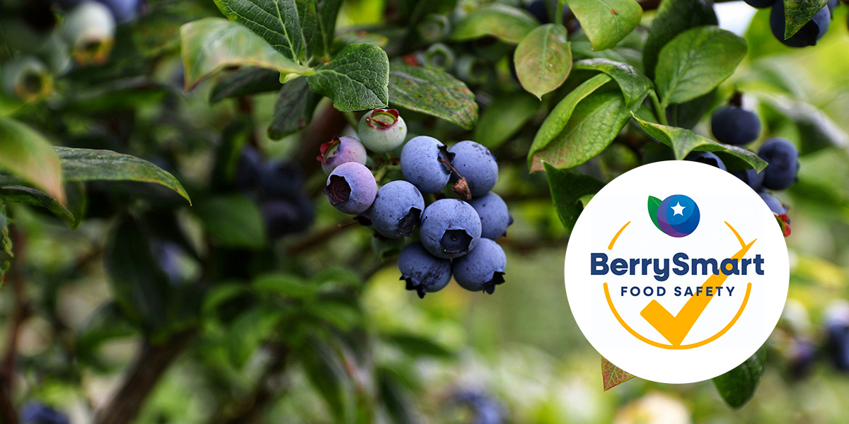 BerrySmart Food Safety - USHBC