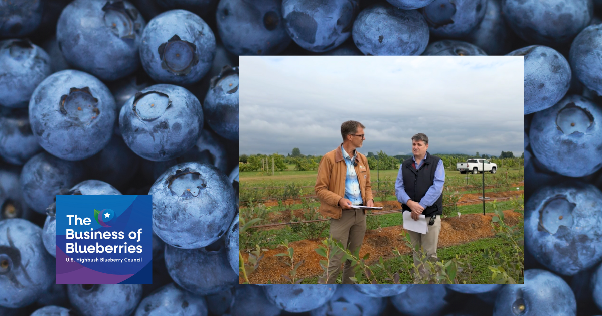 BerrySmart Field Insights With Tim Hyde of SWAN Systems - USHBC
